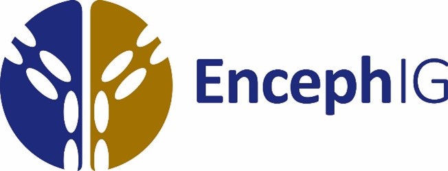 Profs Research Projects - Encephalitis International